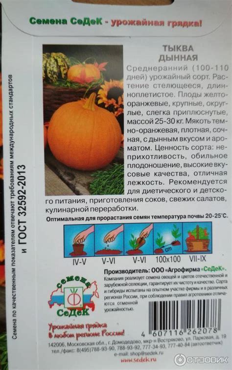 Тыква кустовая: описание сортов, выращивание, посадка и уход с фото