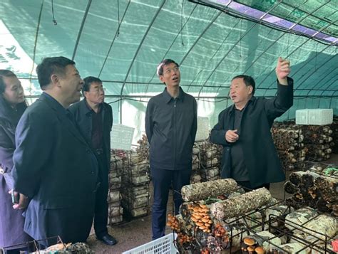 平泉市人民政府 动态要闻 省科协调研组来我市调研食用菌产业