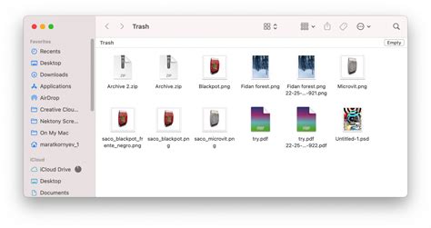 how to empty the trash on mac nektony