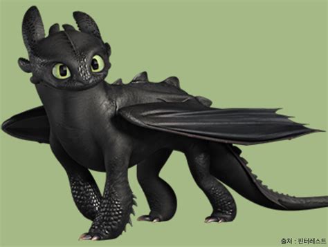 수의사가 보는 동물 캐릭터 드래곤 길들이기 투슬리스