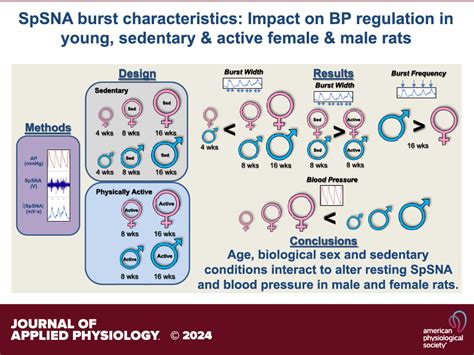 Influence Of Sex And Sedentary Conditions On Sympathetic Burst