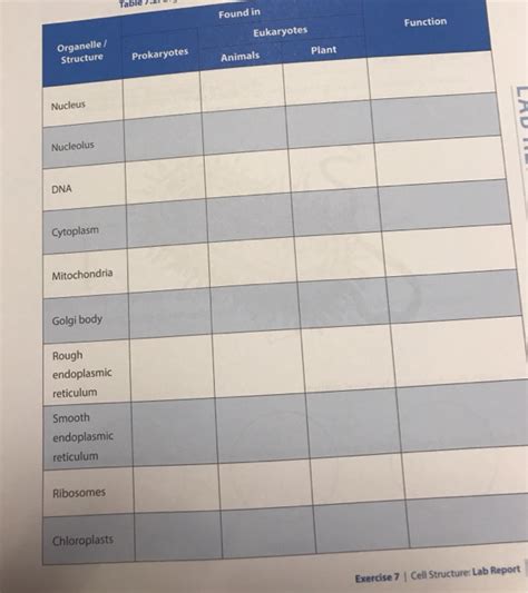 Solved DATE NAME EXERCISE Pre Lab Questions Babe Chegg Com