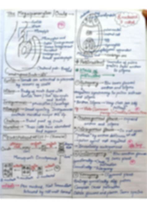 SOLUTION Sexual Reproduction In Flowering Plants Handwritten Notes Studypool