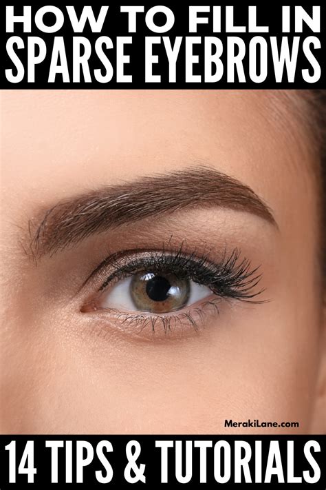 How To Fill In Eyebrows With Pencil For Beginners At Spencer Kelly Blog