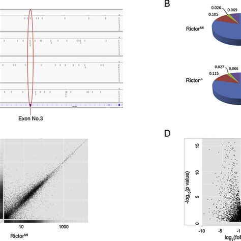 Modular Network Analysis Nodes And Edges Represent Genes And Download Scientific Diagram