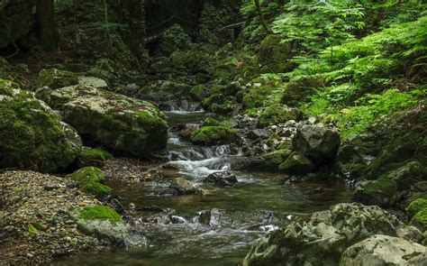 山乗渓谷不動滝岡山県真庭市蒜山のおでかけスポット 夏におすすめ避暑地 癒しの絶景パワースポット 岡山はれろぐ