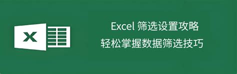 Excel 筛选设置攻略 轻松掌握数据筛选技巧