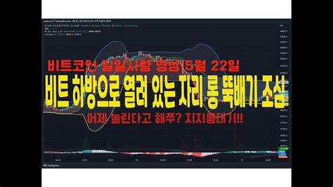 5월 22일 비트코인 일일시황 비트 하방으로 열려있는 자리 롱 뚝배기 조심해라 마코 리플 이더리움 마동석코인 Bitcoin 나스닥 알트코인 Etf 솔라나