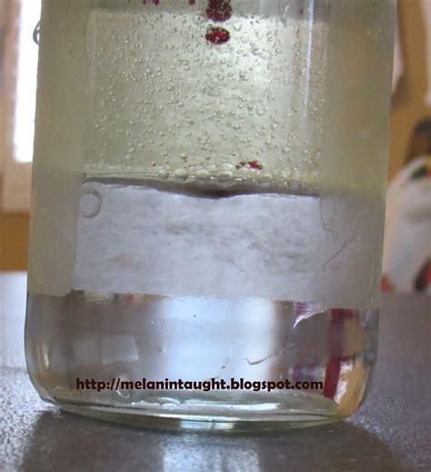 Melanin Taught Lava Lamp Experiment