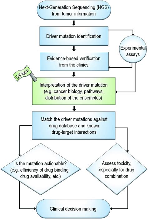 A Flowchart Representing The Comprehensive Framework To Precision