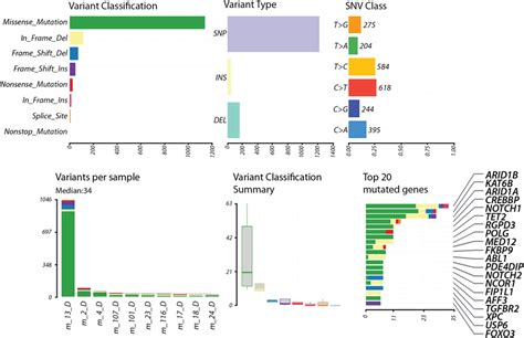 general overview of the wes datasets the general features of ten