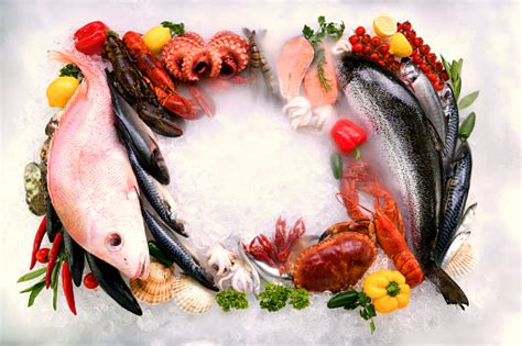 드라이 아이스 연기와 얼음에 신선한 생선과 해산물의 다양한 최고의 전망 0명에 대한 스톡 사진 및 기타 이미지 0명 갑각류 건강한 식생활 Istock