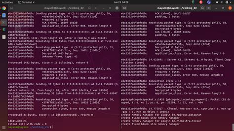 Adding Plugins Insreases Transmission Time Issue P Quic Pquic GitHub