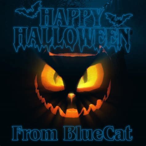 Bluecat On Linkedin Happy Halloween