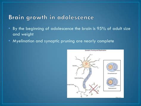 PPT Rites Of Passage Physical And Cognitive Development In Adolescence PowerPoint