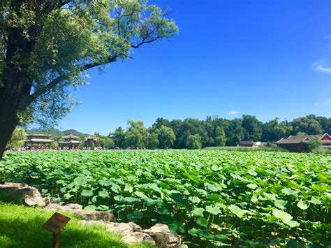 避暑山庄。 高清图片，堆糖，美图壁纸兴趣社区