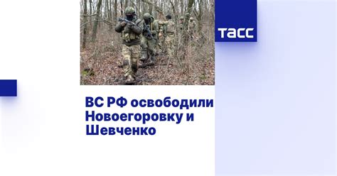 ВС РФ освободили Новоегоровку и Шевченко