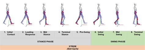 Stride Segmentation Of Inertial Sensor Data Using Statistical Methods