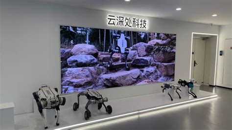 Deeprobotics Robotics Max Fritsche