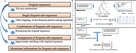 A Schematic Diagram For The Algorithm Description A A Concise Download Scientific Diagram