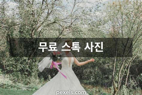200 000 개의 최고의 나무 한그루 사진 · 100 무료 다운로드 · Pexels 스톡 사진