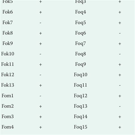 Molecular Identification Of The Fusarium Spp Isolates Download
