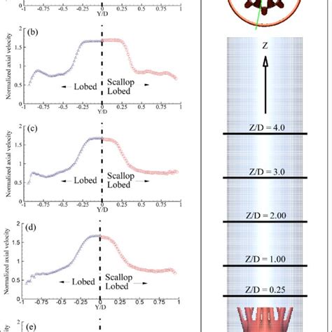 Normalized Axial Velocity Profiles On Streamwise Plane Through Lobe