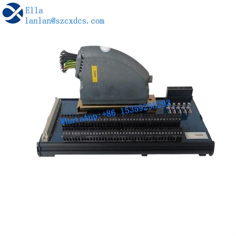 ICS TRIPLEX T Digital Input Output Module Changxin