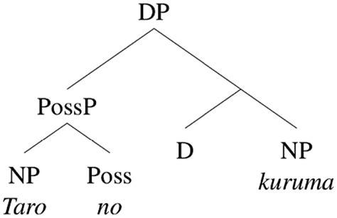 On The L1 Acquisition Of Recursive No In Japanese Canadian Journal Of Linguisticsrevue