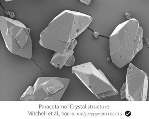 Why You Should Choose The Agi Glassplant Ring Baffle