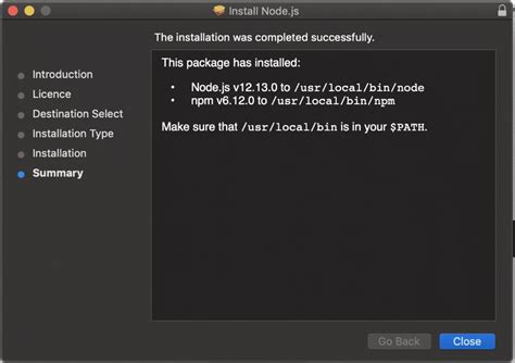 Step By Step Guide To Install Nodejs On Windows And Macos