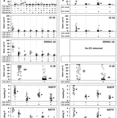 Phenotypic Effect Of Single Qtl And The Effect Of Combining More Qtl