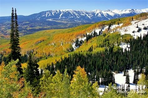 Along Ohio Pass Fall Foliage Colorado Usa Synnatschke Photography