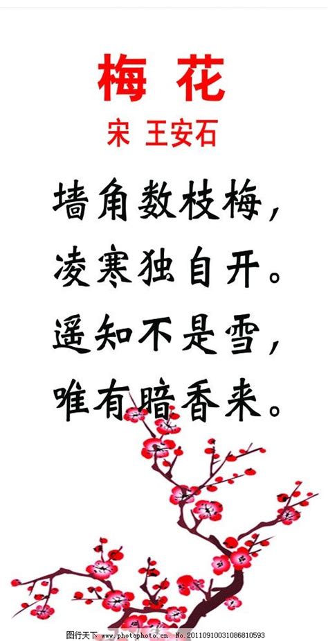 梅花王安石古诗原文 梅花王安石古诗原文
