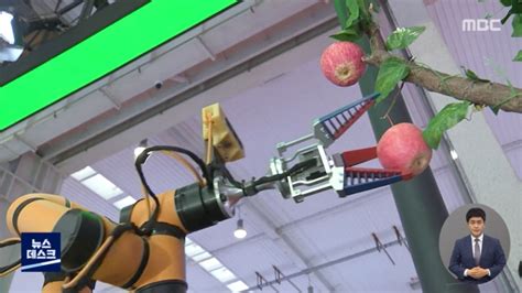잘 익은 사과 골라 따고 식사 준비도 척척‥생활밀착형 로봇 선보여
