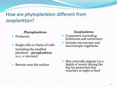 Plankton Isolation Classification Pptx