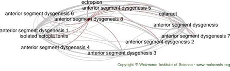 Anterior Segment Dysgenesis 8 Disease Malacards Research Articles Drugs Genes Clinical Trials