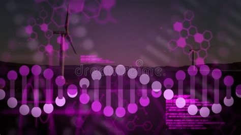 Dna Strand And Hexagonal Patterns Animation Over Wind Turbines At Sunset Stock Footage Video