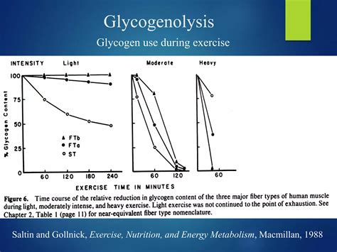 Glycolysis Glycogenolysis Ppt