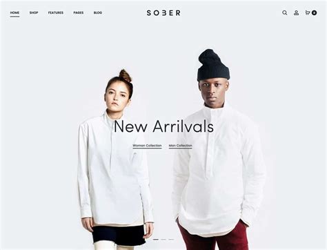 33 Best Woocommerce Wordpress Themes 2025