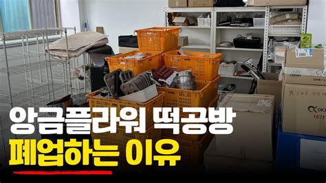 앙금플라워 떡케이크 공방 폐업하는 이유 🔥창업 전 필수 시청🔥 Youtube