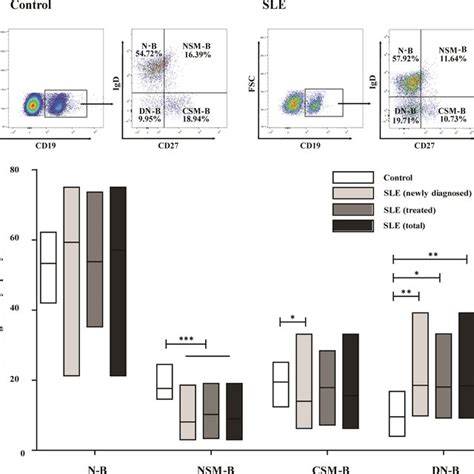 The Frequency Of Memory B Cell At Antigen‐dependent Differentiation Download Scientific Diagram