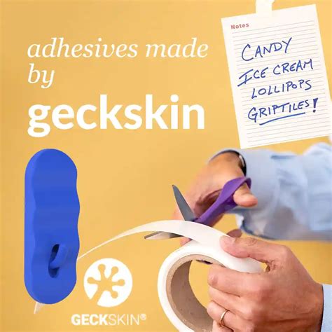 The Best 50 Biomimicry Examples And Inventions Of All Time