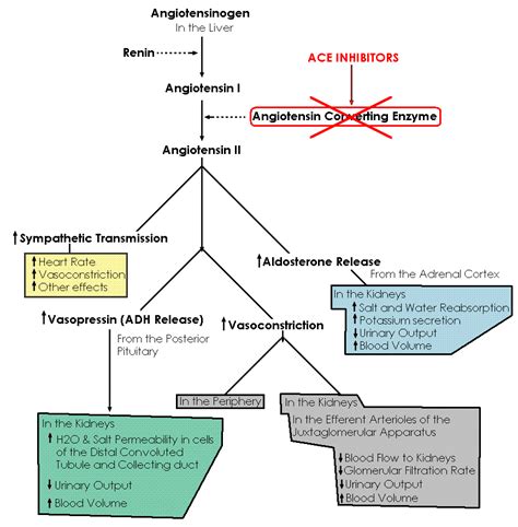 Ace Inhibitors Drugs For Treating Hypertension