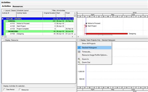 Stacked Bar Chart And Primavera P6 Stacked Histogram