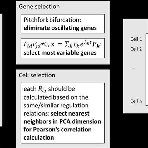 Analysis Framework Meta Cells Are Generated Through Normalized And Download Scientific Diagram