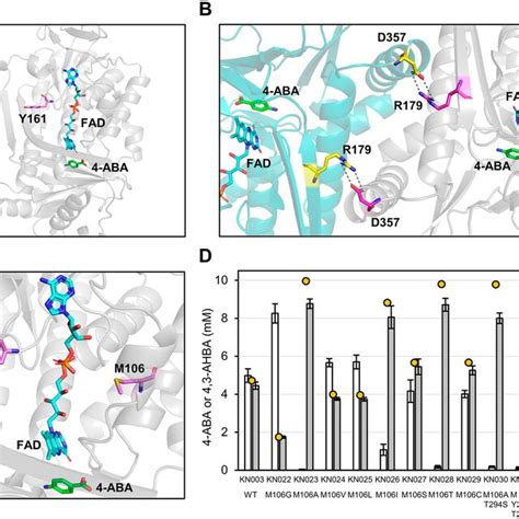 Schematic Representation Of The Artificial Pathway For The Production Download Scientific