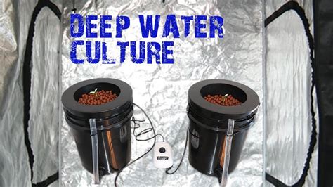 Diy Water Chiller Dwc Diy Closet Island