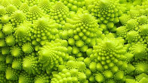 The Recurring Case Of Recursion A Pattern For Making Sense Of The