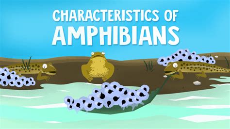 Bbc Bitesize Science Videos And Resources Clickview